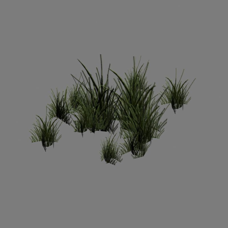 3d grass