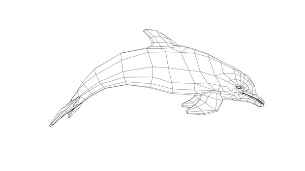 dolphins 3d obj