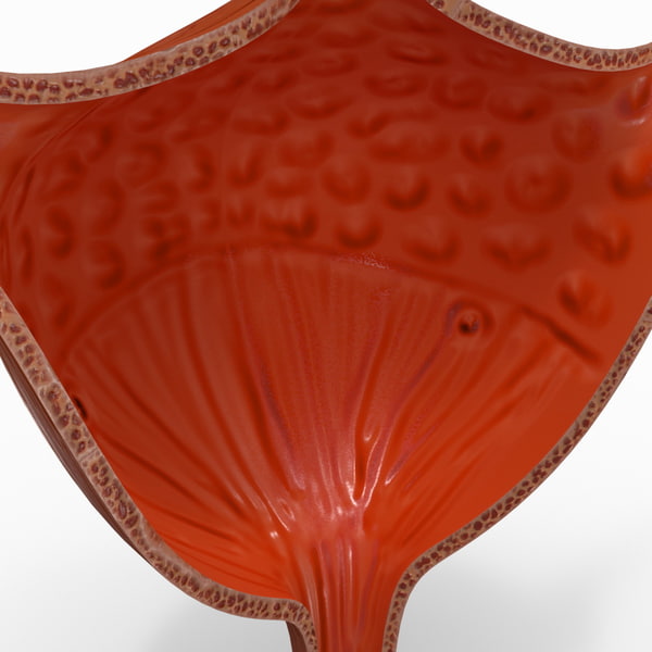 3d Model Bladder
