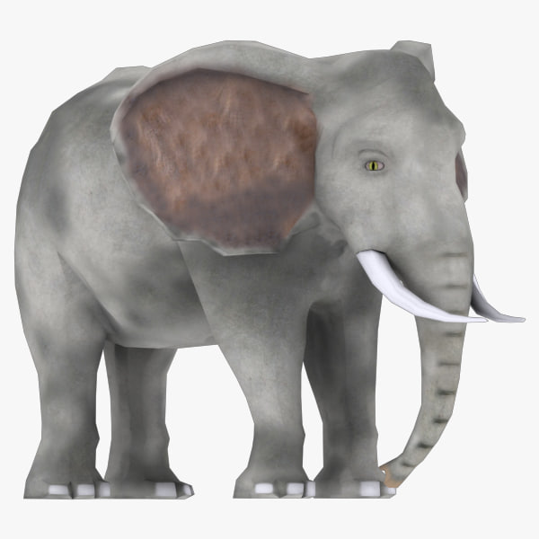 max elephant