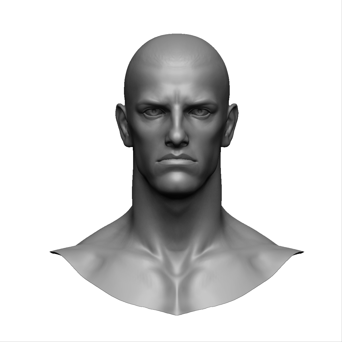 3d zbrush male head