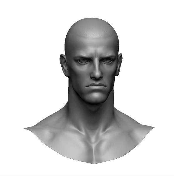 3d zbrush male head