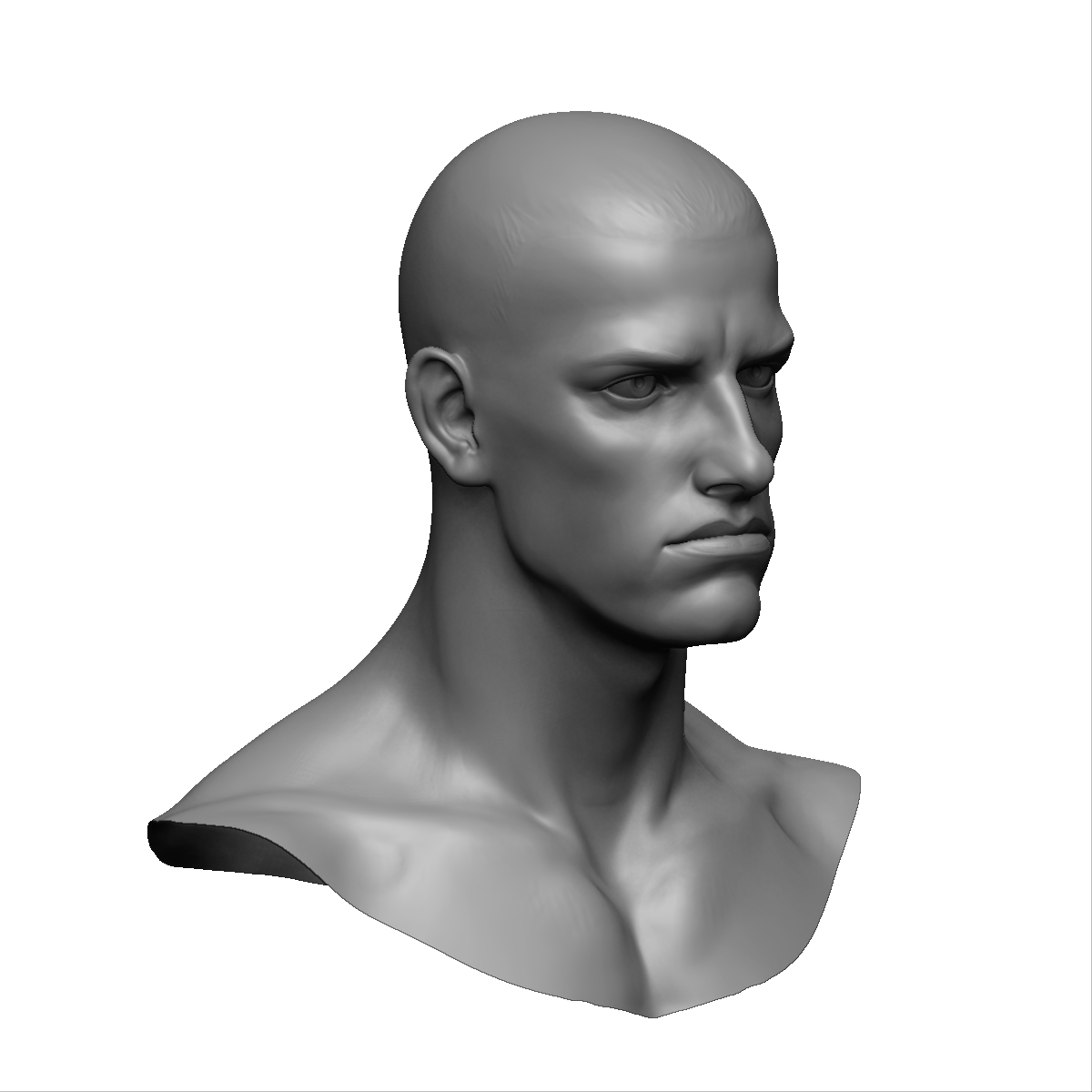 3d zbrush male head