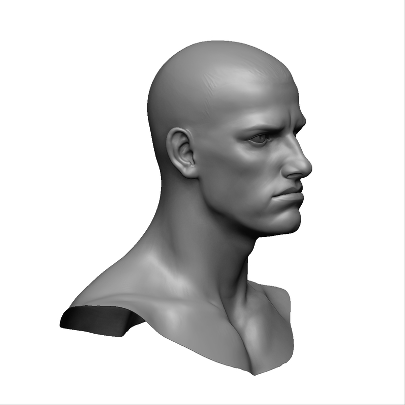 3d zbrush male head