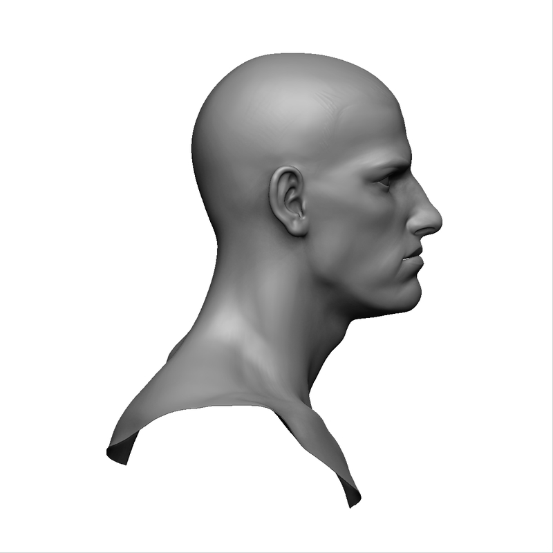3d zbrush male head