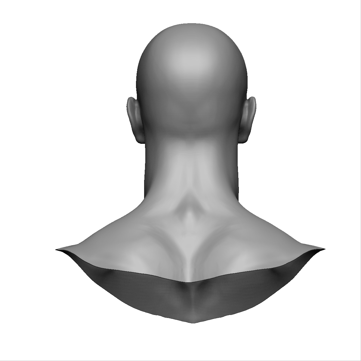 3d zbrush male head