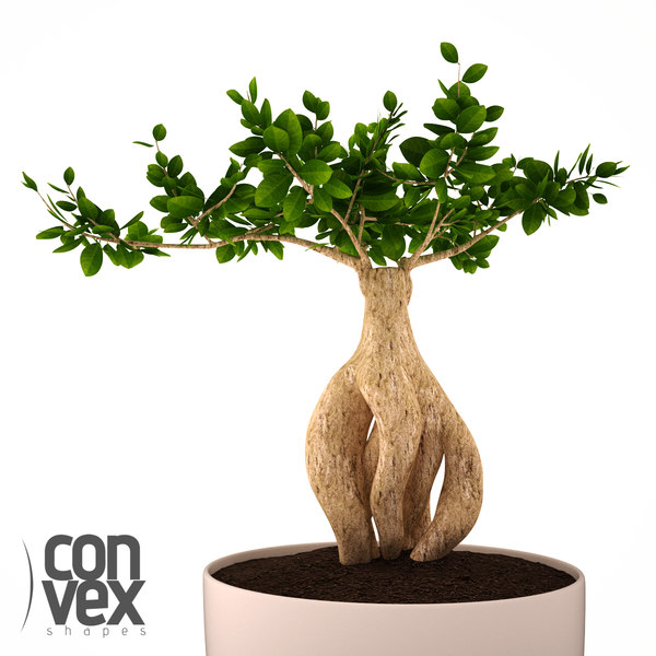 3d model potted plants 20
