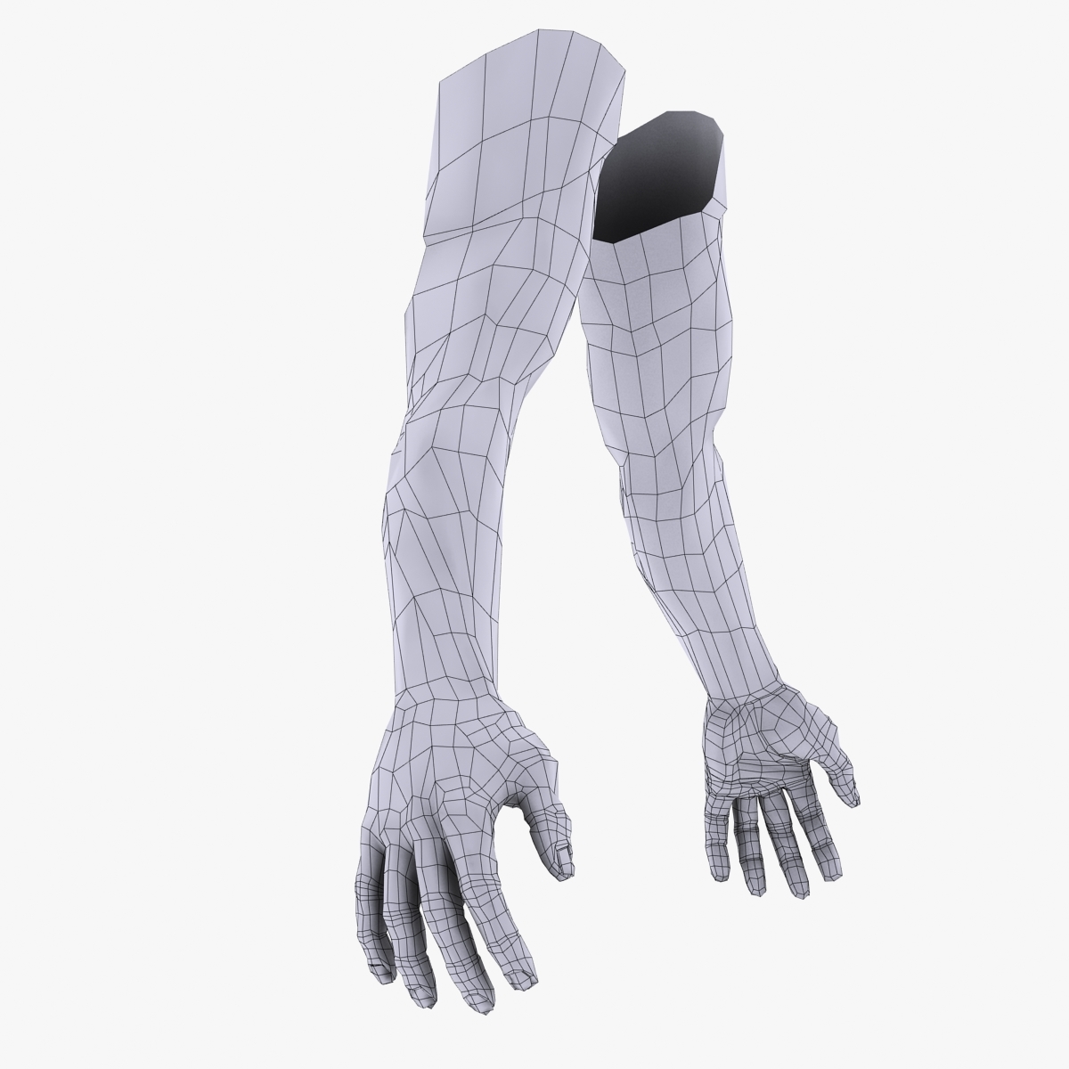 3d model of male arms