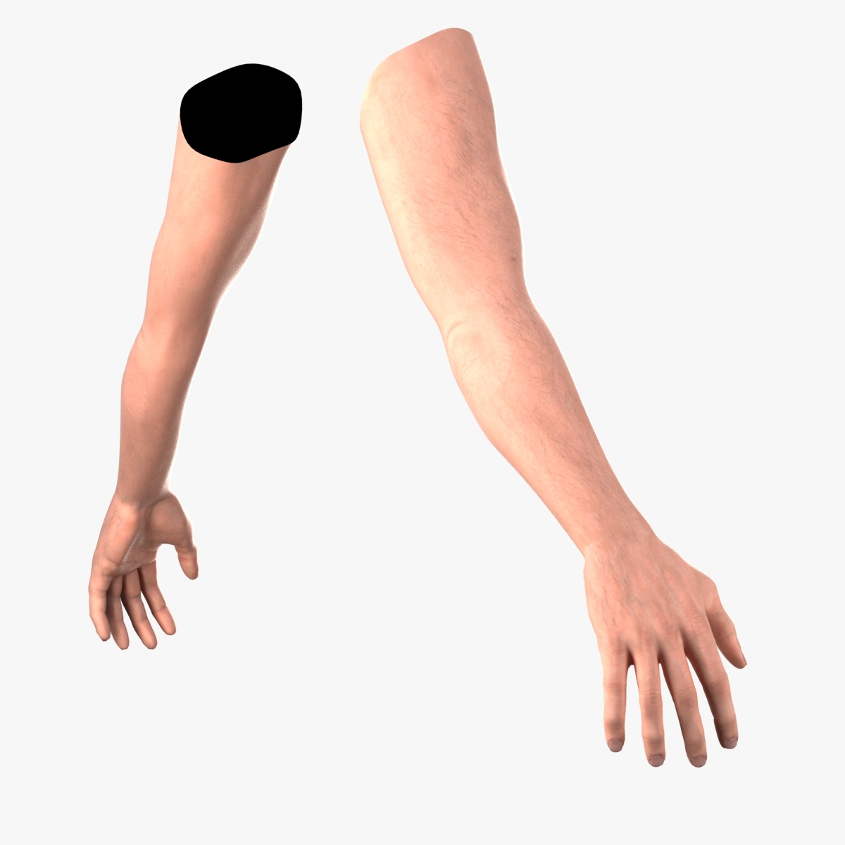 3d model of male arms