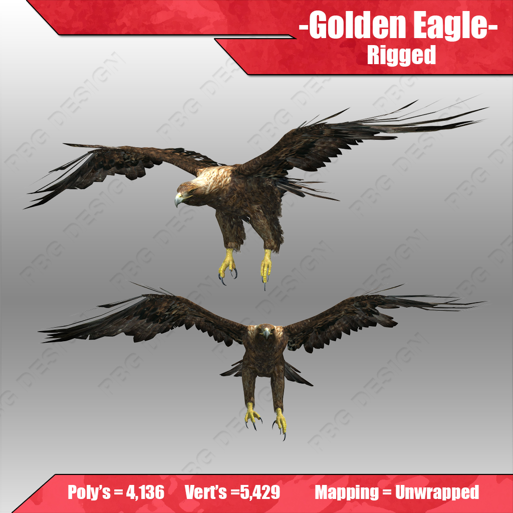 3d golden eagle