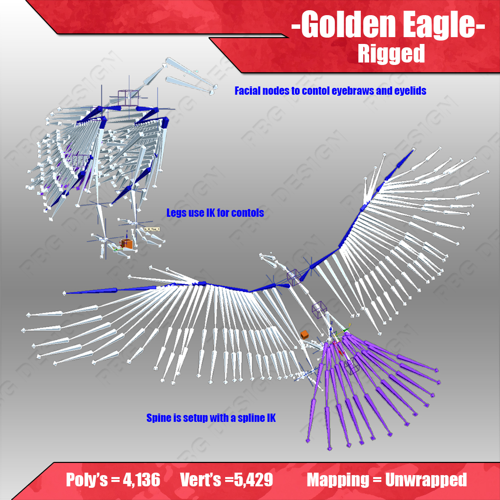 3d golden eagle