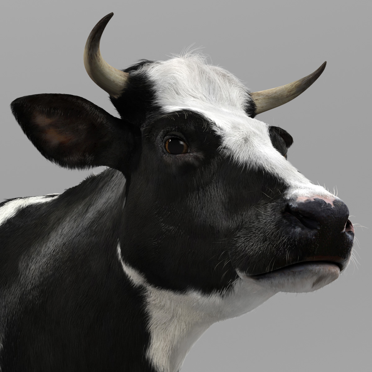 3ds max holstein cow fur