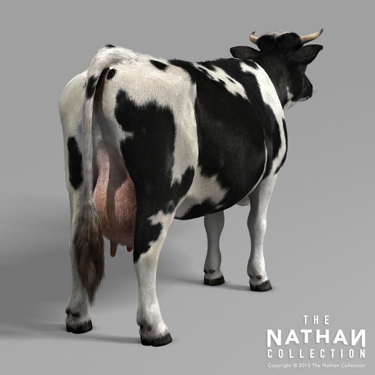 3ds max holstein cow fur