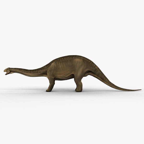brontosaurus prehistoric dinosaur 3d model