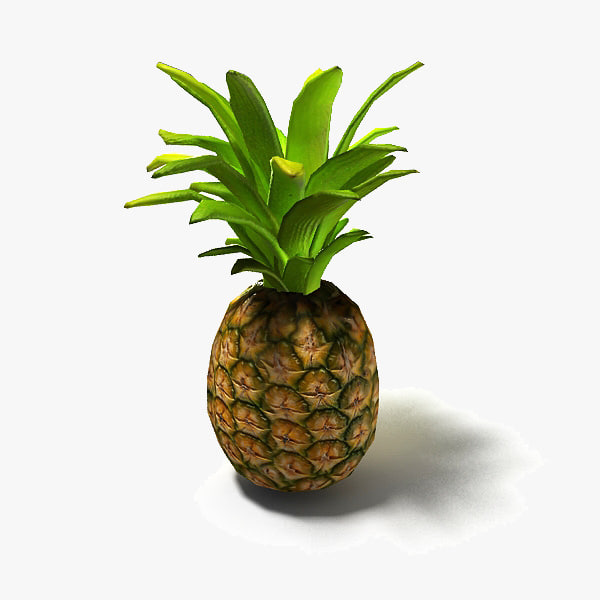 modelo 3d Piña - TurboSquid 762333