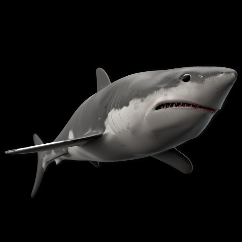 Hai 3D-Modell - TurboSquid 763967