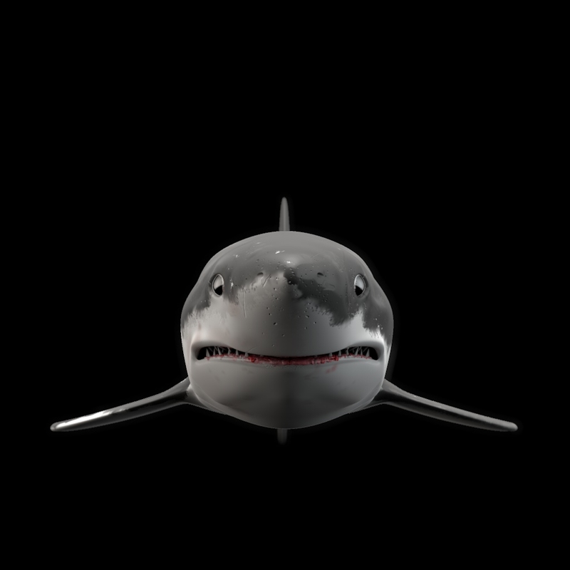 Hai 3D-Modell - TurboSquid 763967