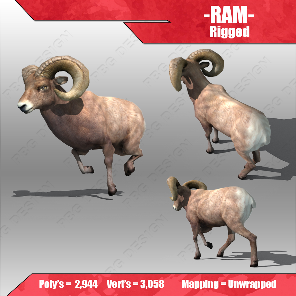 3d ram model