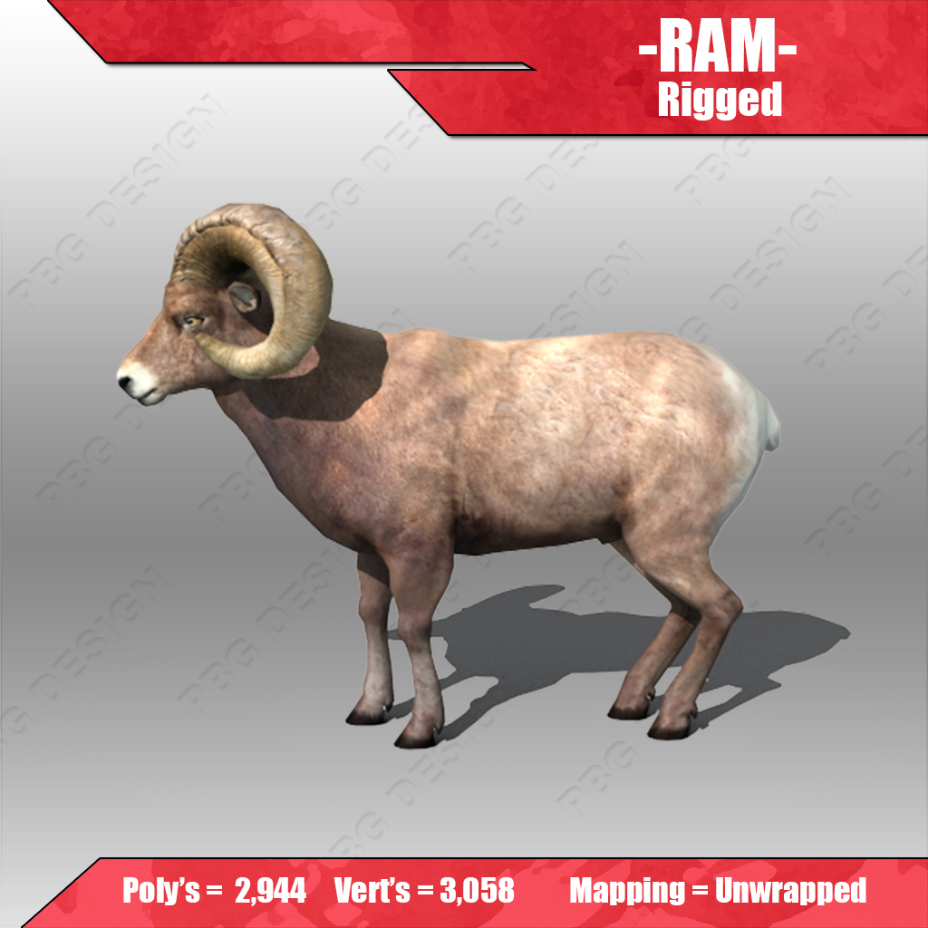 3d ram model