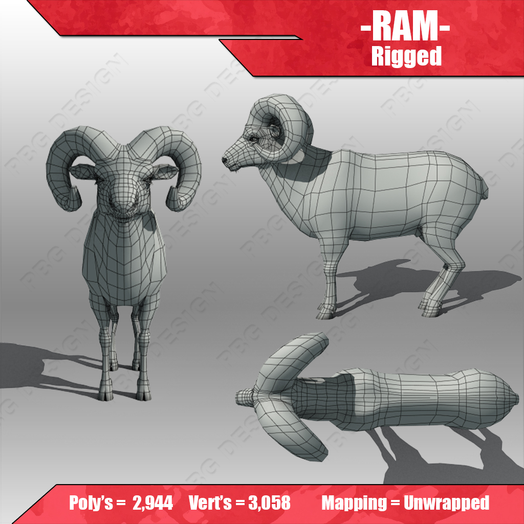 3d ram model