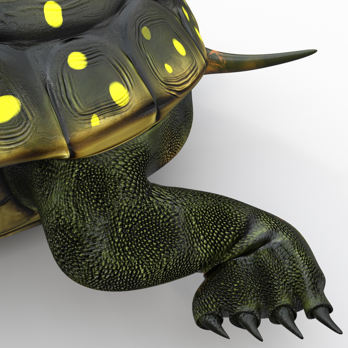 3d spotted turtle