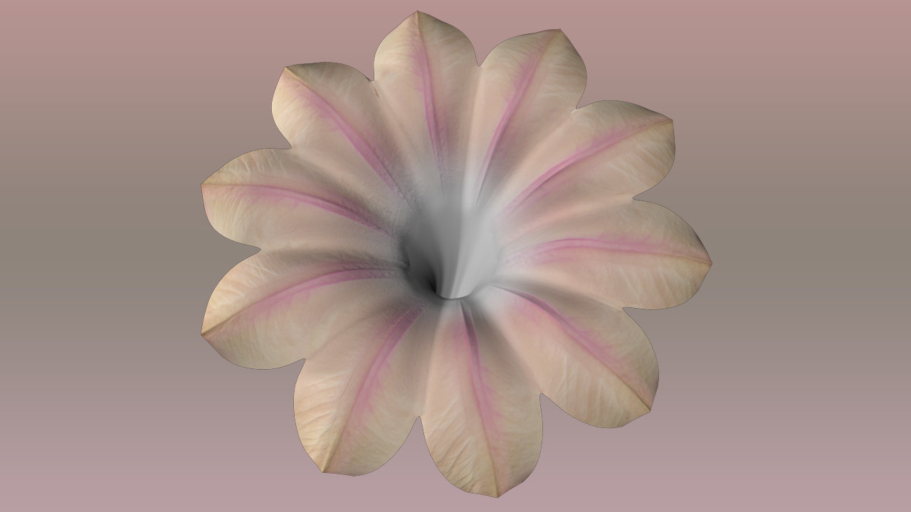 flower structure 3d model