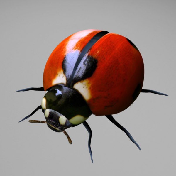 ladybug 3d model