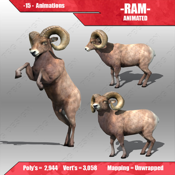 Sheep 3D Models for Download | TurboSquid