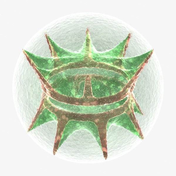 3D Algae Models | TurboSquid