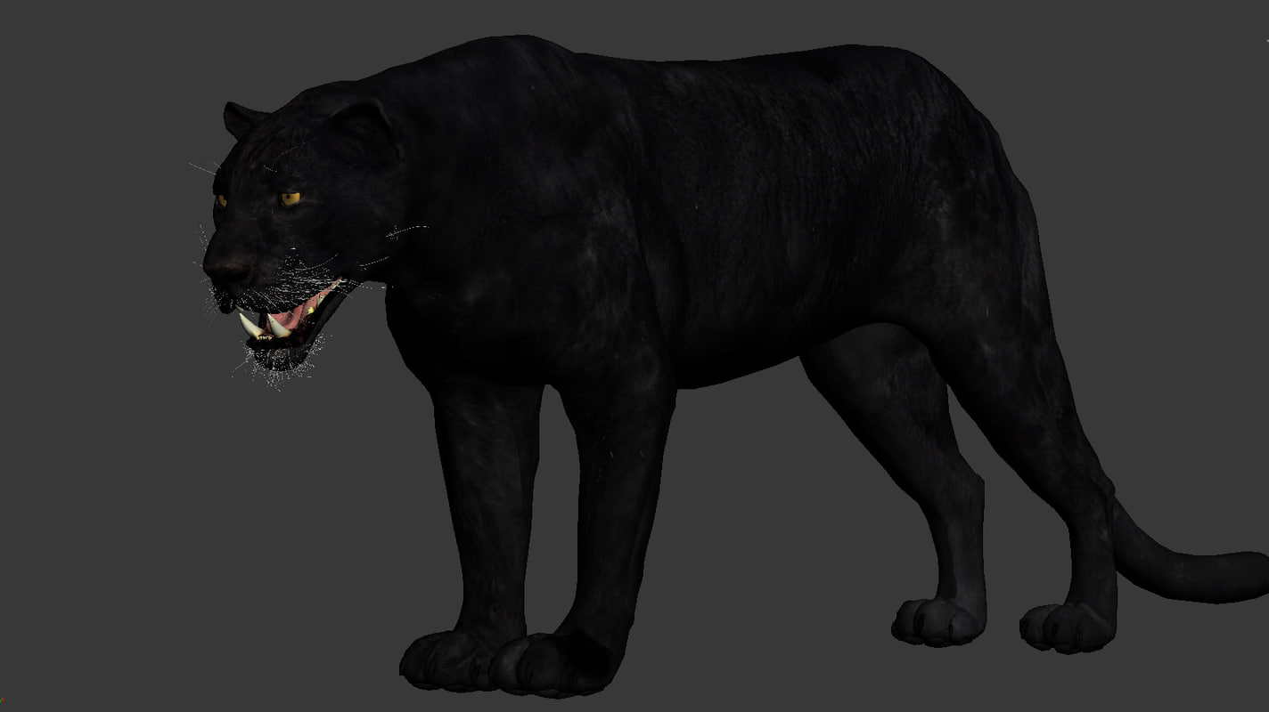 3dsmax Cat Feline