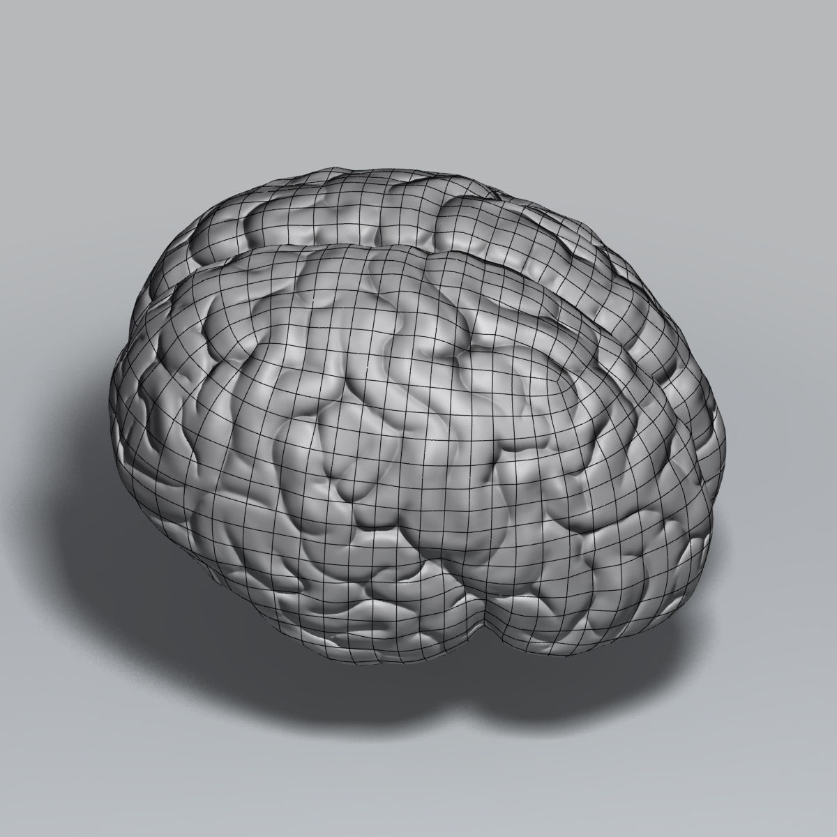 3ds max human brain