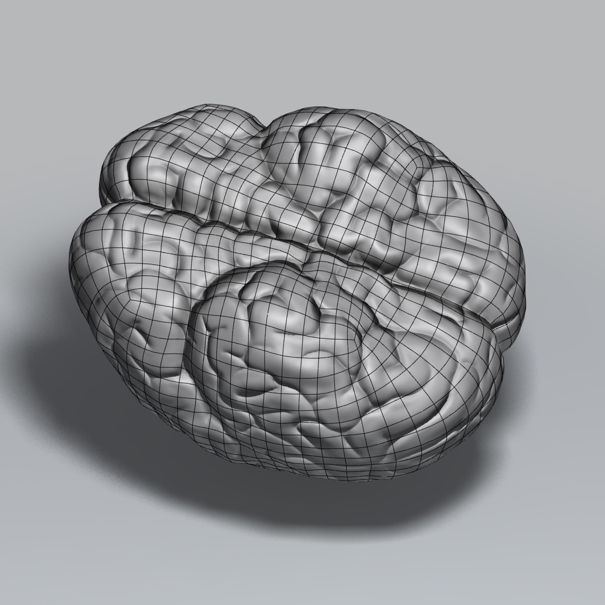 3ds max human brain