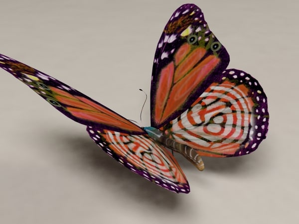 butterfly 3d model