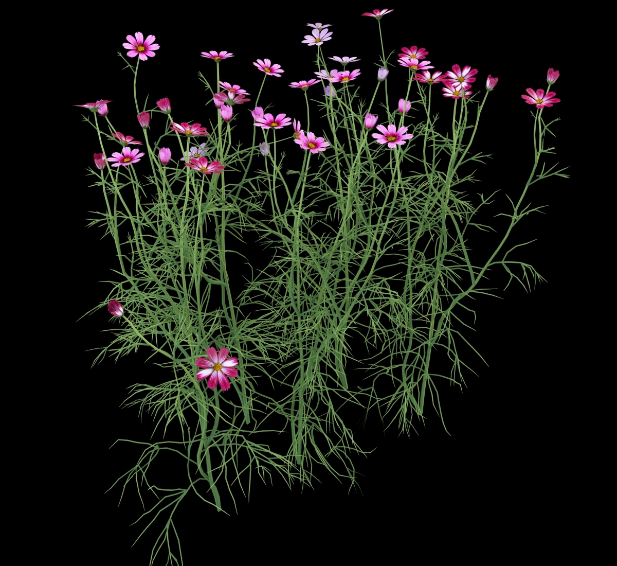 cosmos f 3d model