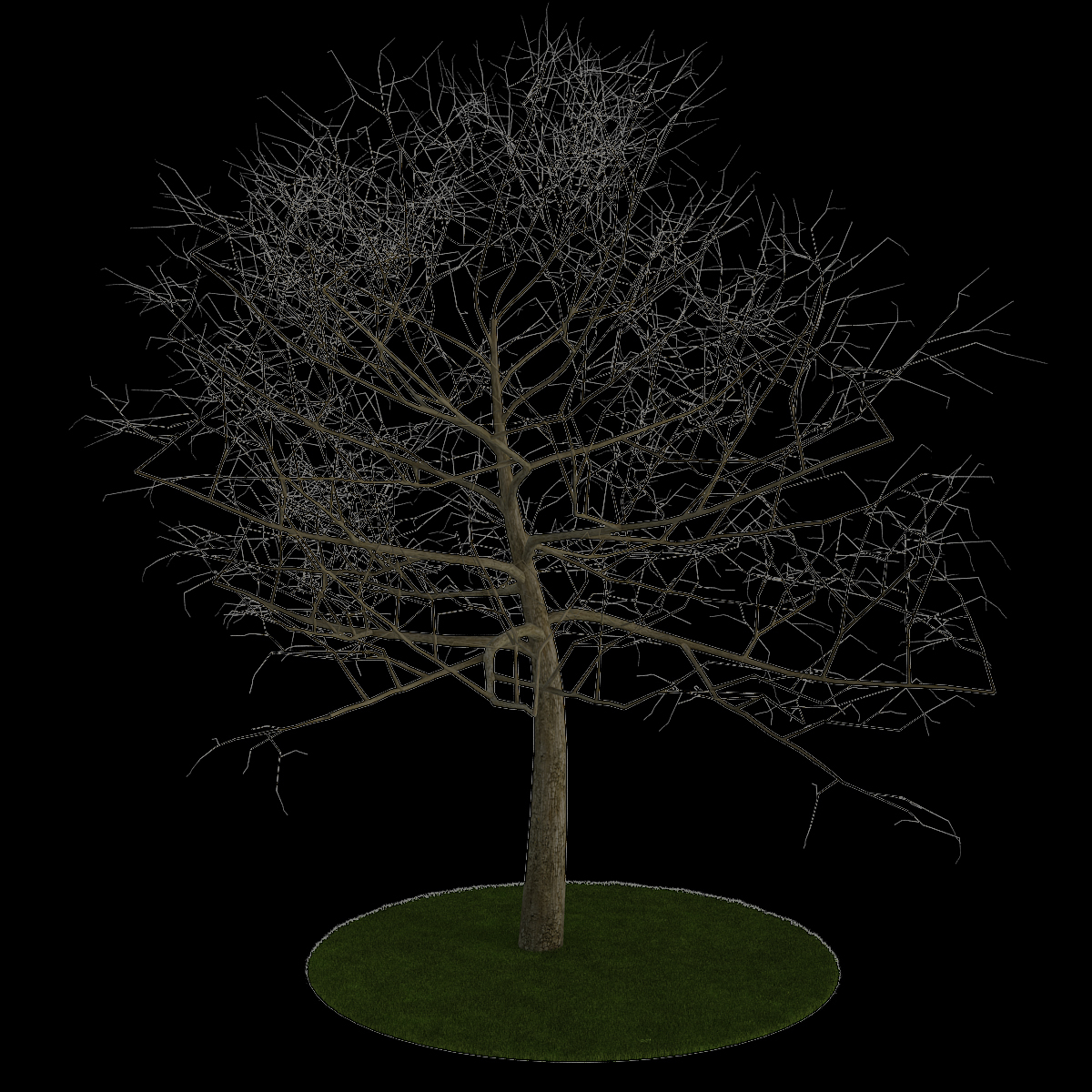 tree 6 branches 3d obj