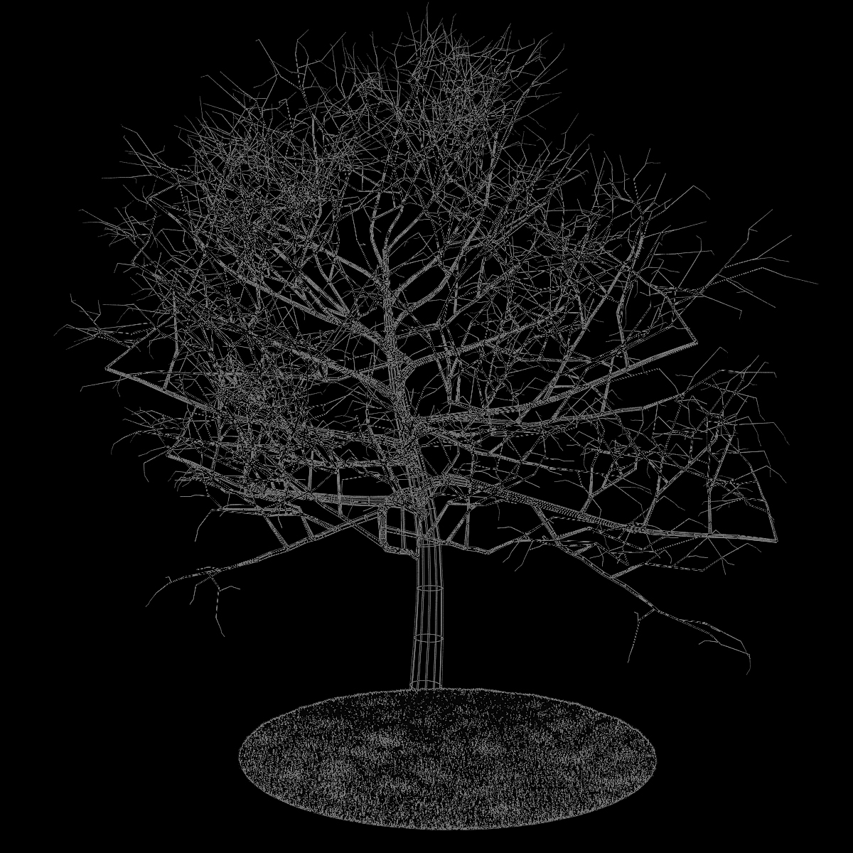 tree 6 branches 3d obj