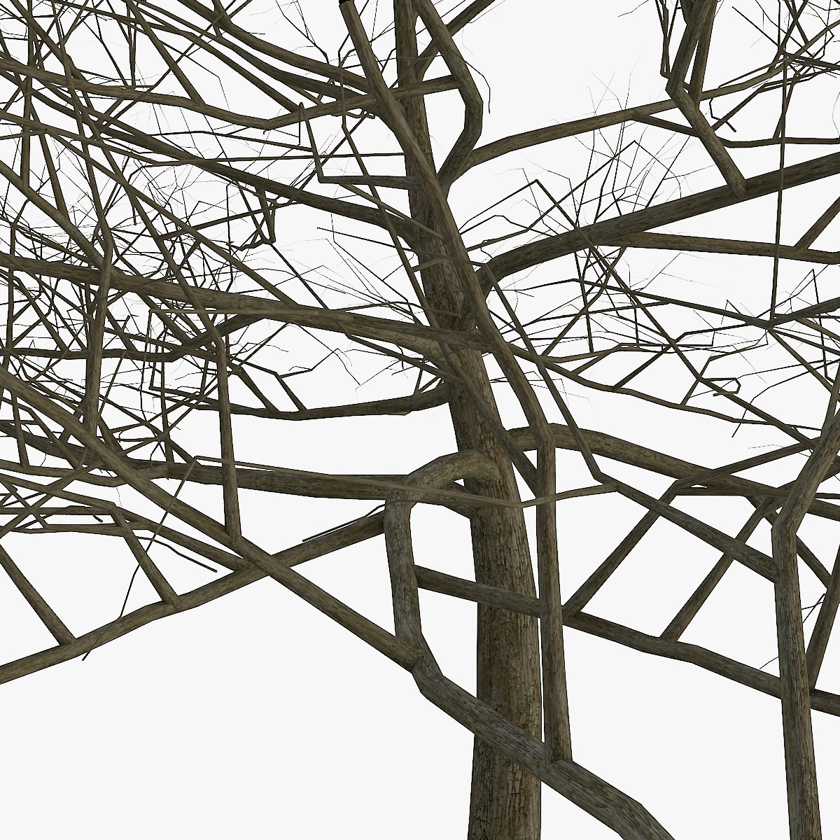 tree 6 branches 3d obj