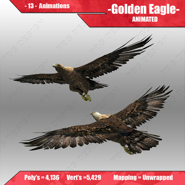 golden eagle animations 3d max