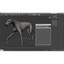 3d australian greyhound 2 pose