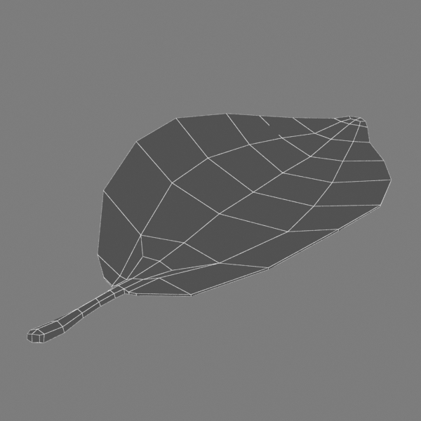 3d model leaf