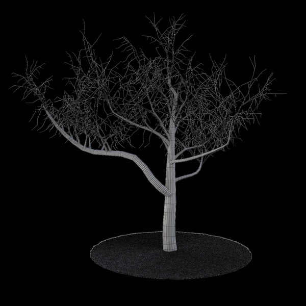 tree branches 3 3d model