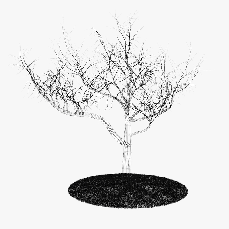 tree branches 3 3d model