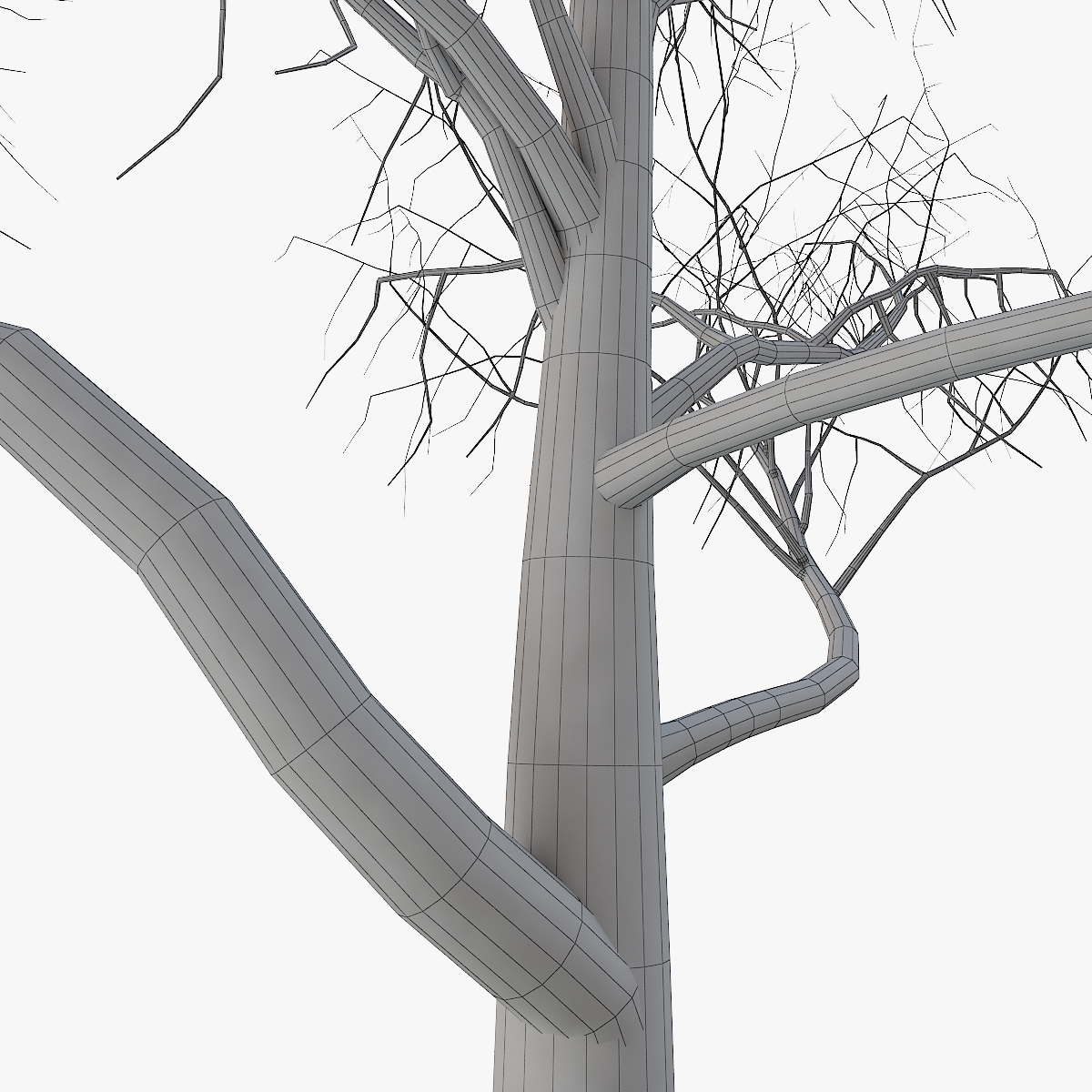 tree branches 3 3d model