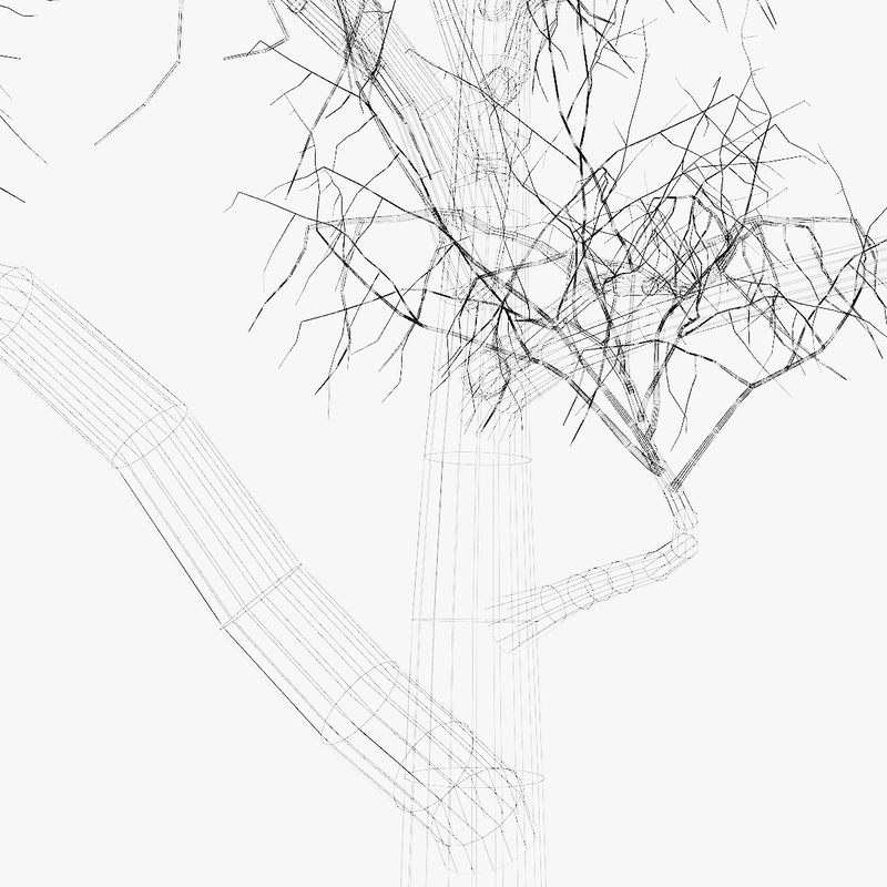 tree branches 3 3d model