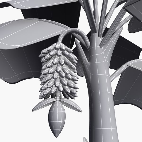 banana tree 3d 3ds
