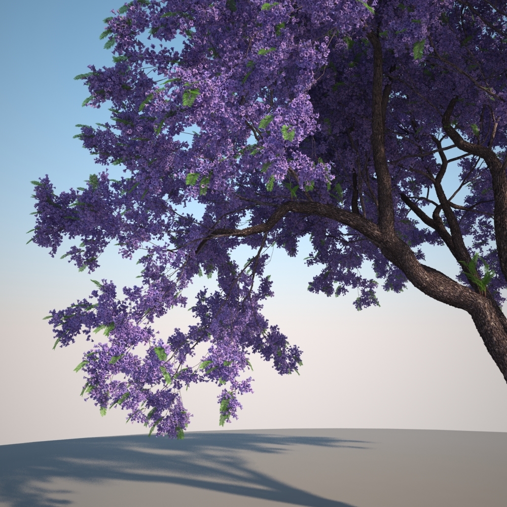 3d model jacaranda tree forest