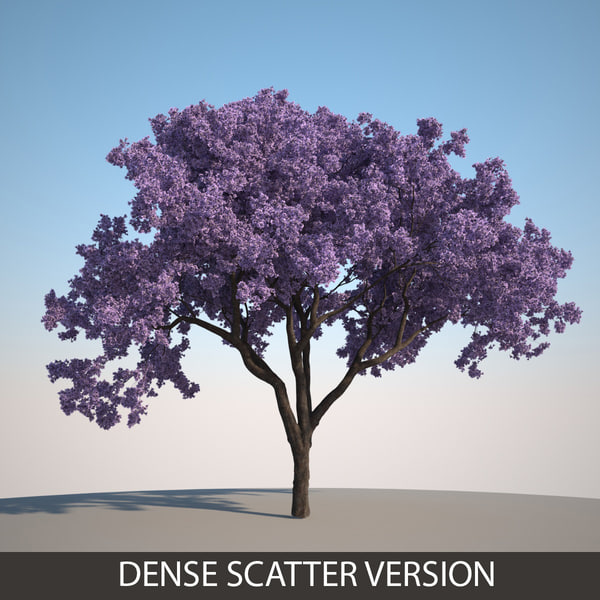 3d model jacaranda tree forest