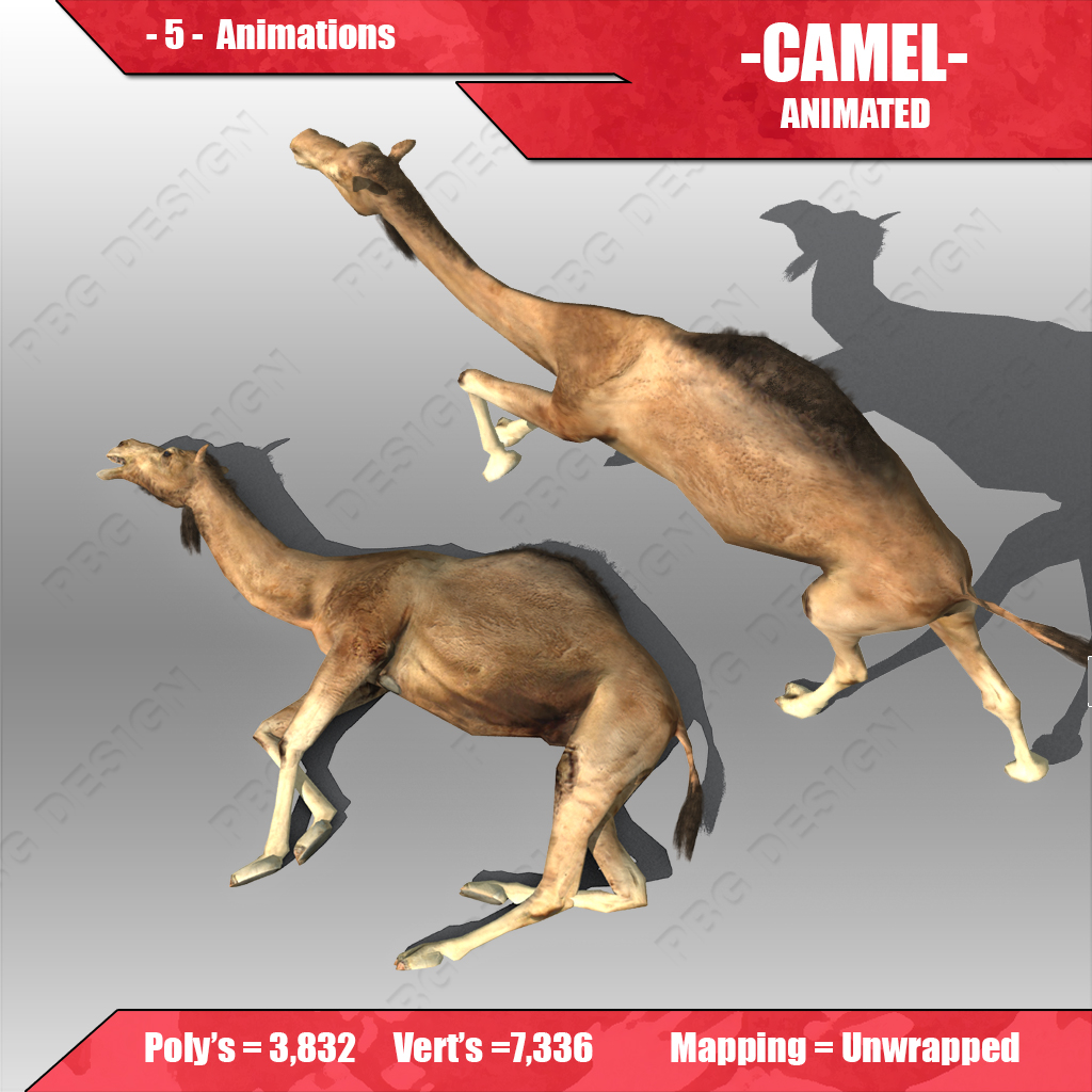 3d camel animations