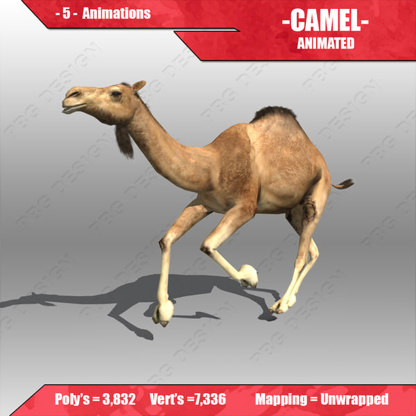 3d camel animations