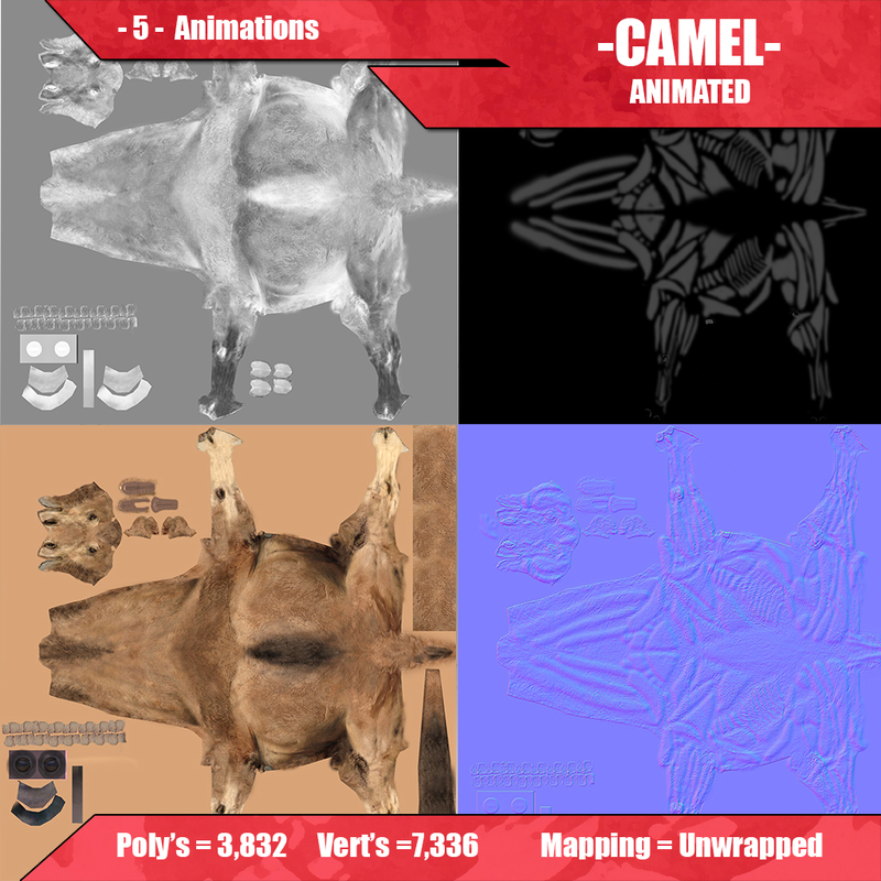3d camel animations